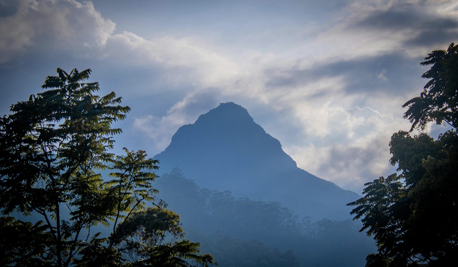 Understanding DCB0129: The Clinical Risk Management Standard for ...